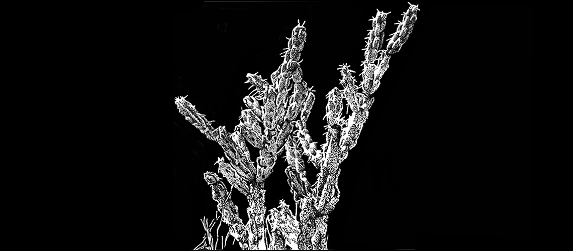 Interpretive Design work of Ormsby and Thickstun